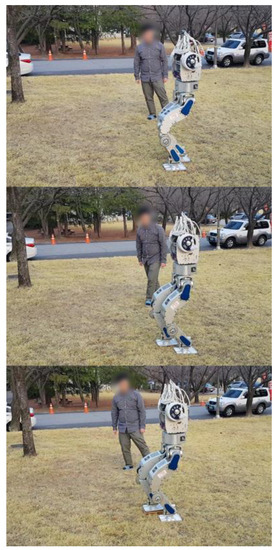 A Robust Balance-Control Framework for the Terrain-Blind Bipedal ...