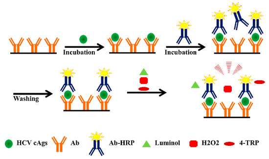 Developments in the HCV Screening Technologies Based on the Detection ...