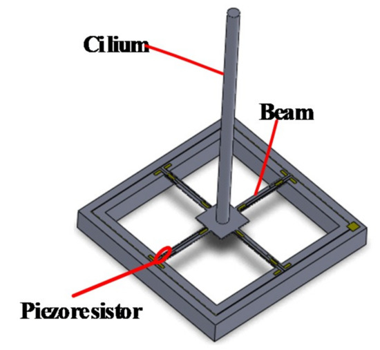 Array MEMS Vector Hydrophone Oriented at Different Direction Angles