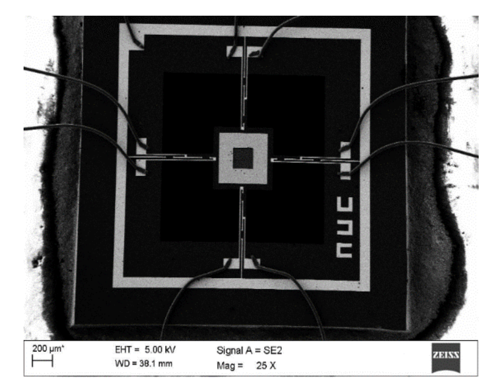 Array MEMS Vector Hydrophone Oriented at Different Direction Angles