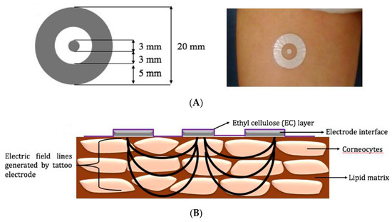 Recent Advances in Skin Chemical Sensors