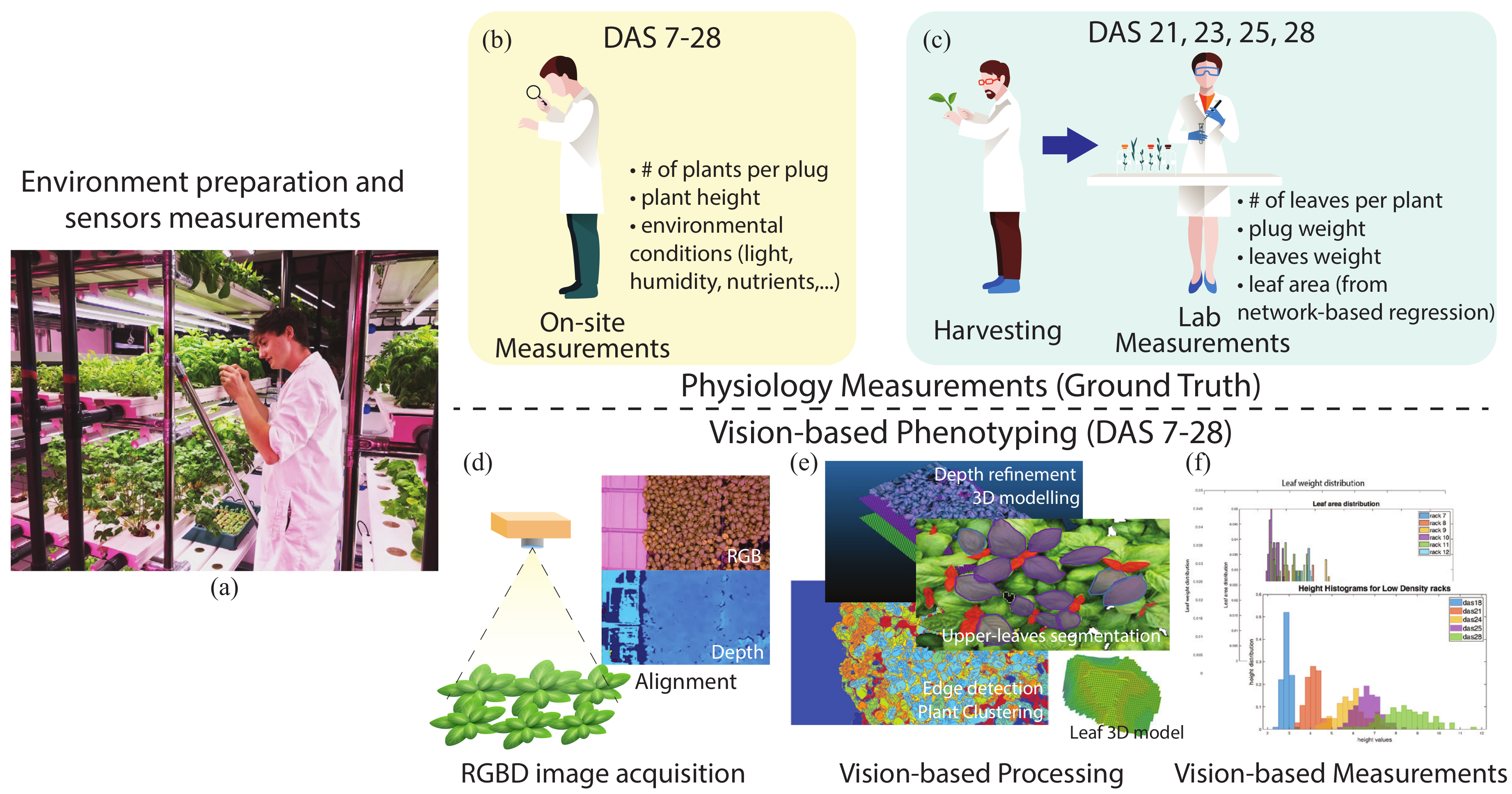 Sensors | Free Full-Text | Vision Based Modeling of Plants Phenotyping ...