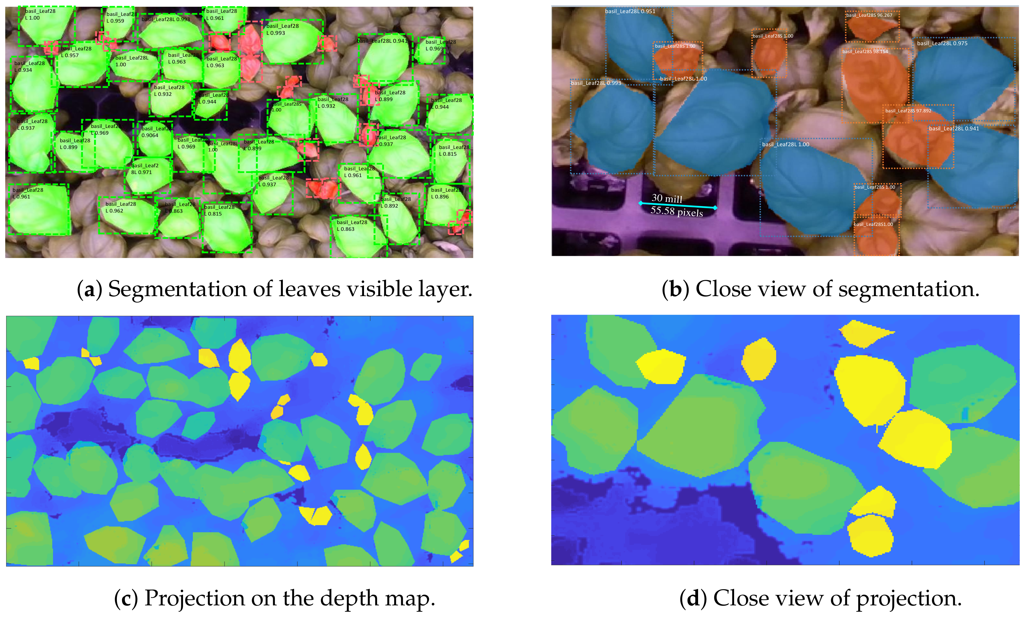 Sensors | Free Full-Text | Vision Based Modeling of Plants Phenotyping ...