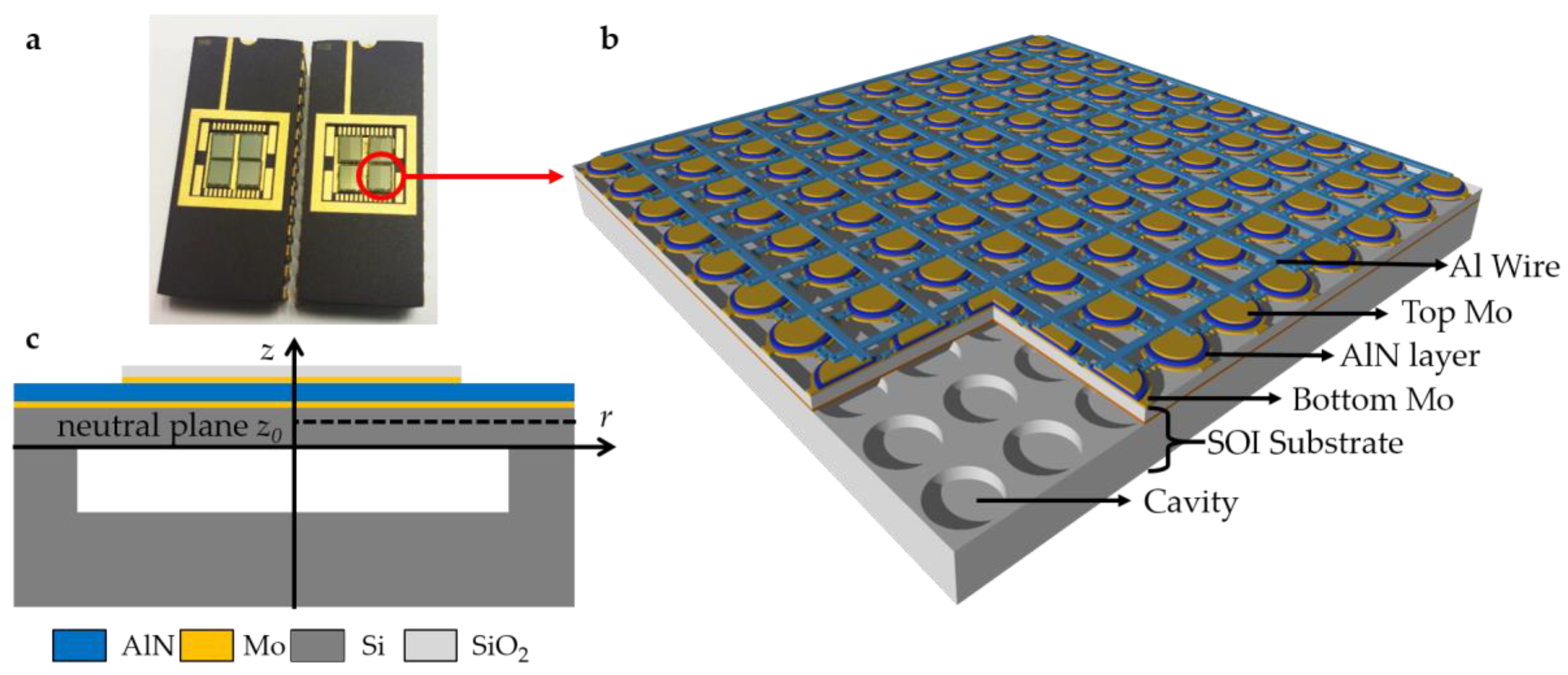 Piezo Sensor Array At George Ashcraft Blog