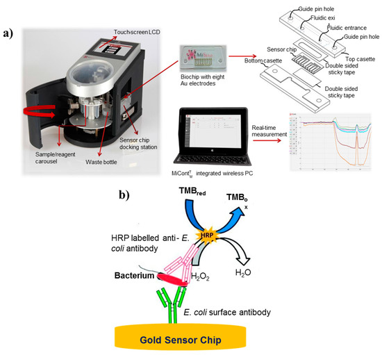 Point-of-Care Strategies for Detection of Waterborne Pathogens
