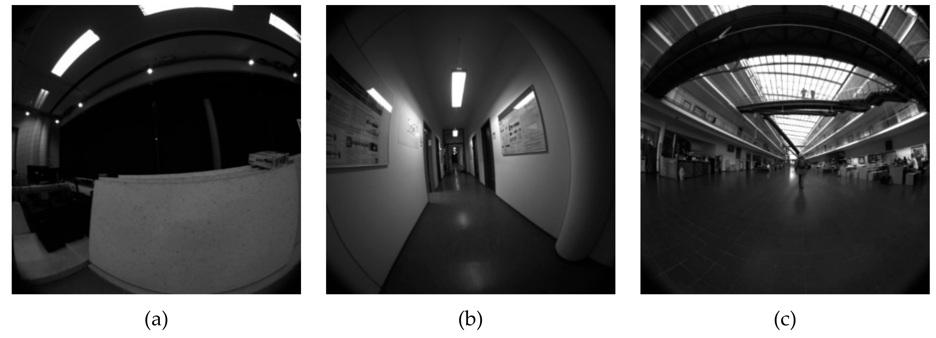 Accurate and Robust Monocular SLAM with Omnidirectional Cameras