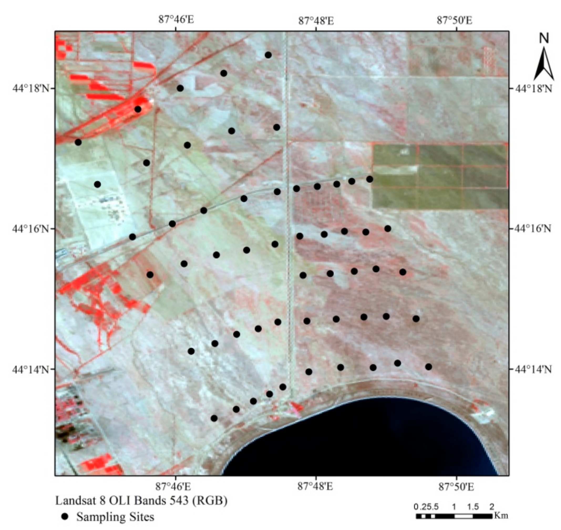 Classifying and Predicting Salinization Level in Arid Area Soil Using a Combination of Chua’s ...
