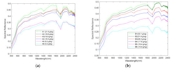 Classifying and Predicting Salinization Level in Arid Area Soil Using a Combination of Chua’s ...