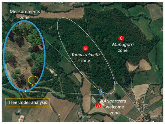A Radio Channel Model for D2D Communications Blocked by Single Trees in ...