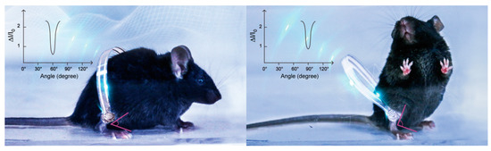 Highly Sensitive Microstructure-Based Flexible Pressure Sensor for ...