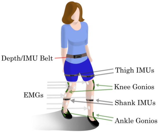 Subject- and Environment-Based Sensor Variability for Wearable Lower ...