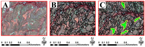 A Semi Automated Object Based Gully Networks Detection Using Different Machine Learning Models