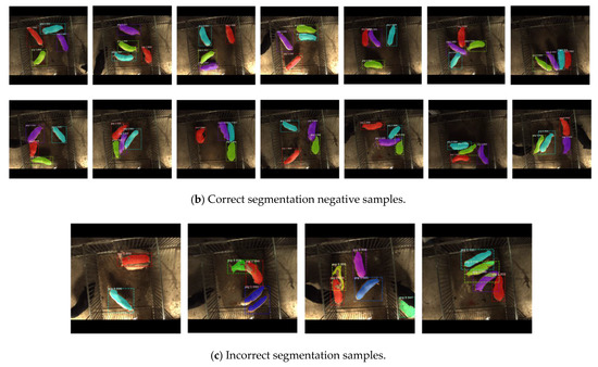 Mounting Behaviour Recognition for Pigs Based on Deep Learning