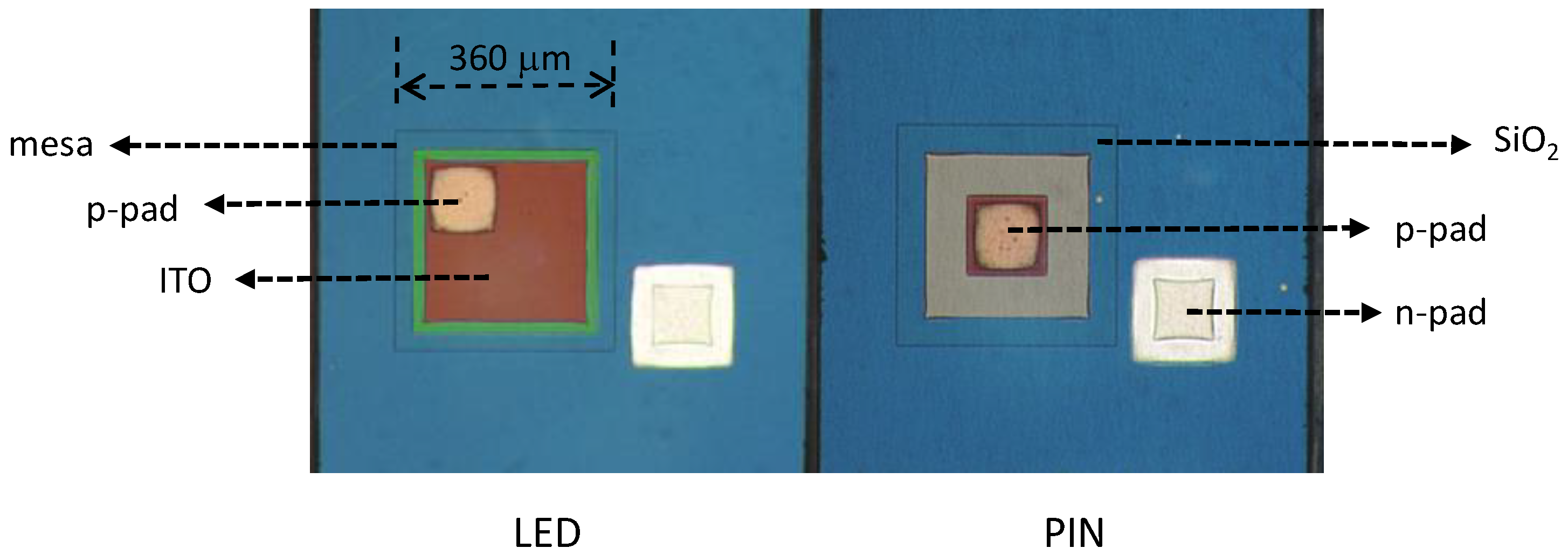 An Ultraviolet Sensor and Indicator Module Based on p–i–n Photodiodes