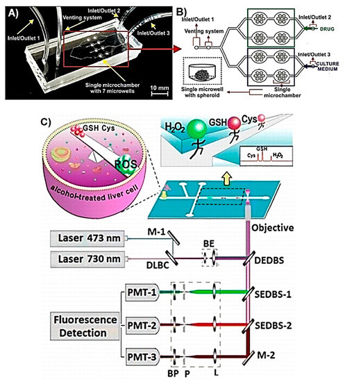 Recent Progress in Lab-On-a-Chip Systems for the Monitoring of ...