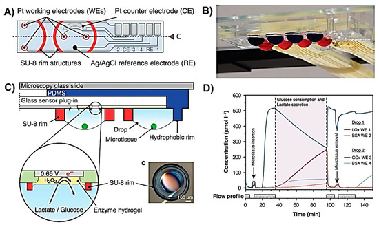 Recent Progress in Lab-On-a-Chip Systems for the Monitoring of ...