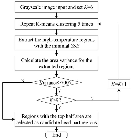 An Automatic Head Surface Temperature Extraction Method for Top-View ...