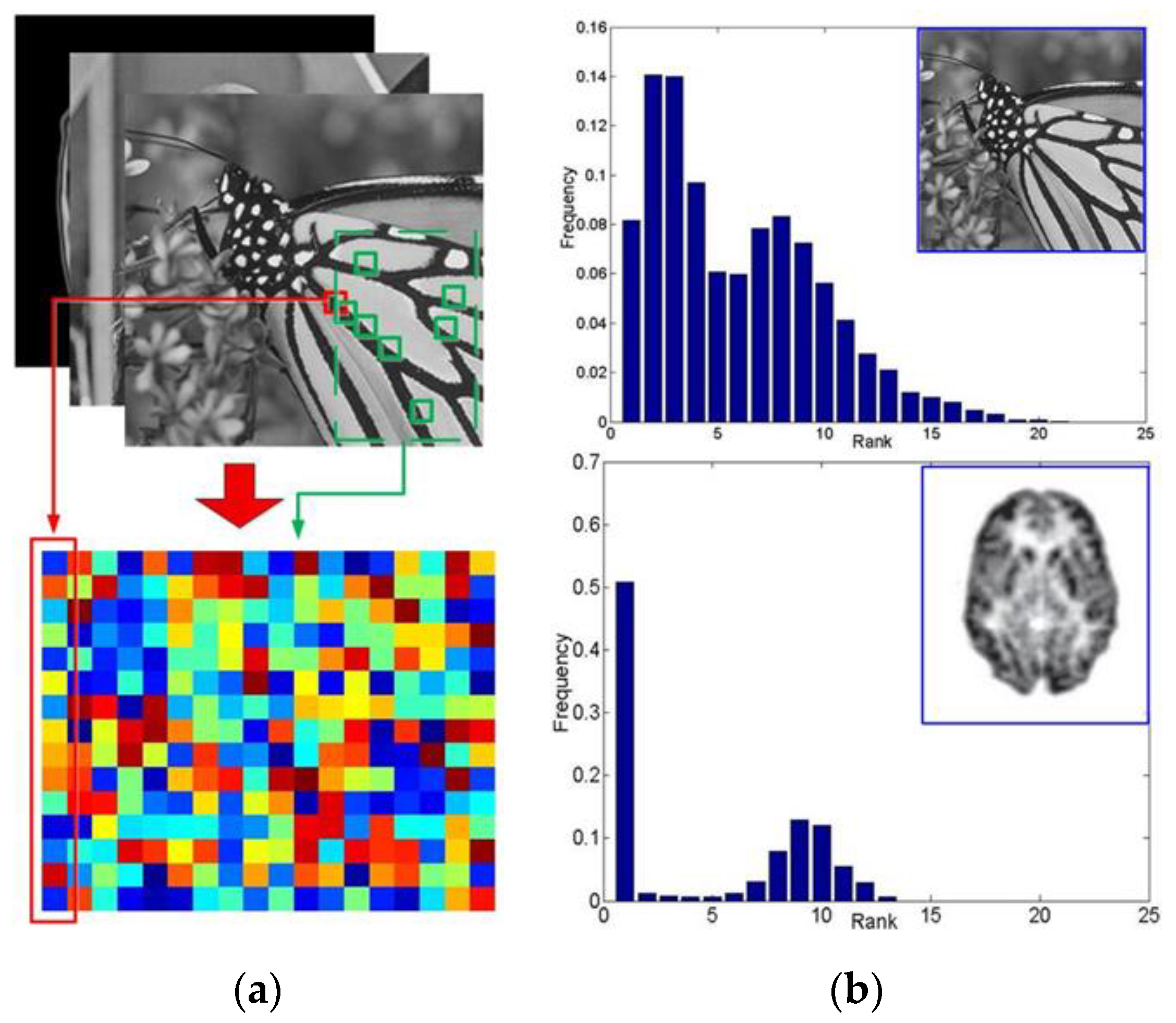 Sensors | Free Full-Text | 3D Tensor Based Nonlocal Low Rank Approximation in Dynamic PET ...