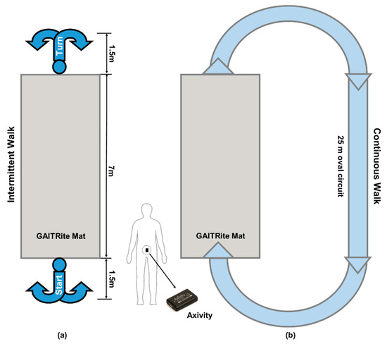 Comparison of Walking Protocols and Gait Assessment Systems for Machine ...