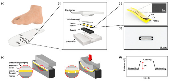 Foot Plantar Pressure Measurement System Using Highly Sensitive Crack ...