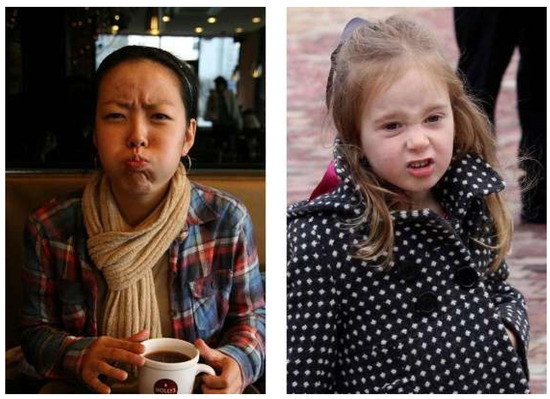 A Convolutional Neural Network for Compound Micro-Expression Recognition