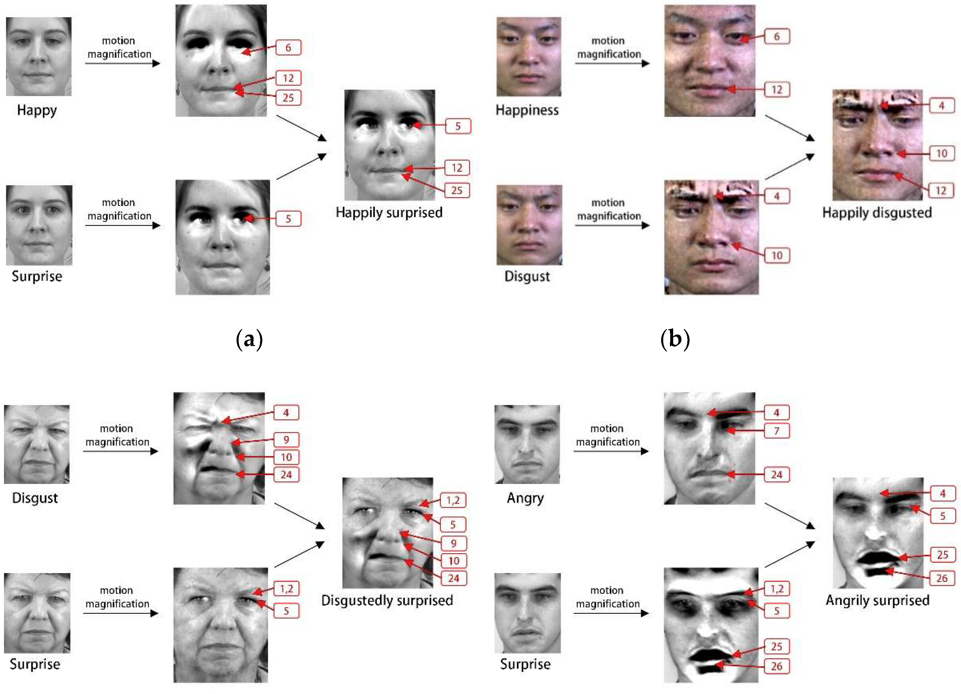 Sensors Free Full Text A Convolutional Neural Network For Compound Micro Expression Recognition