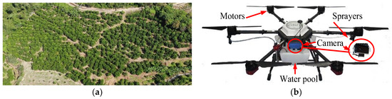 Citrus Tree Segmentation from UAV Images Based on Monocular Machine ...