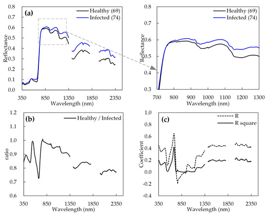 Identification of Fusarium Head Blight in Winter Wheat Ears Using Continuous Wavelet Analysis