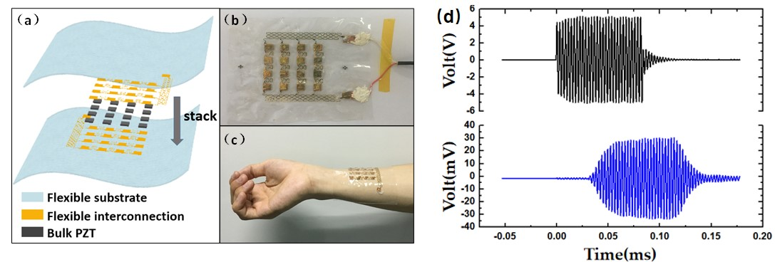 Sensors | Free Full-Text | Flexible Ultrasonic Transducer Array with ...
