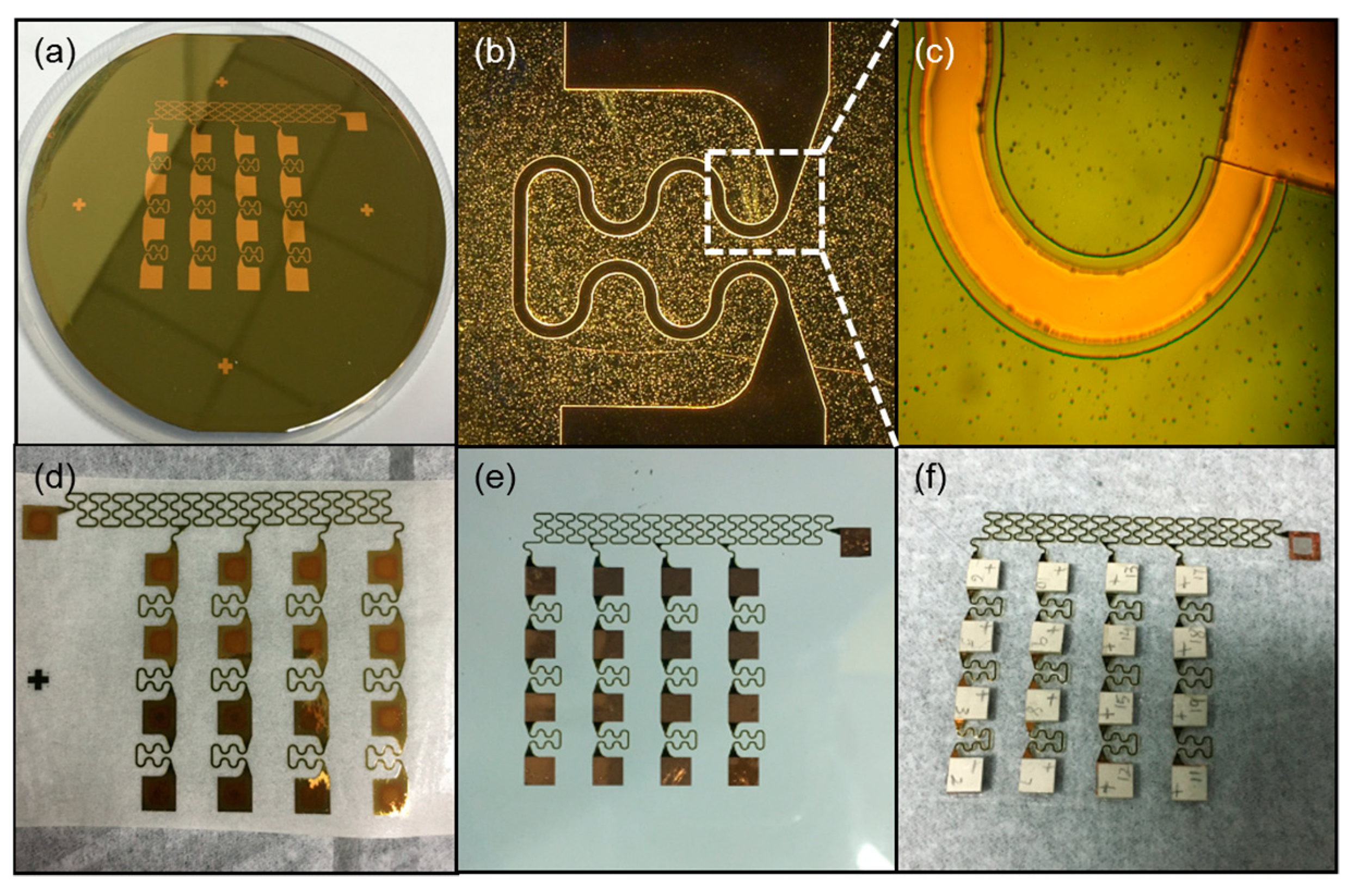 Piezo Sensor Array At George Ashcraft Blog