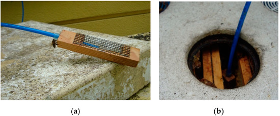 Sensors Free Full Text Gas Sensor Array And Classifiers As A Means Of Varroosis Detection