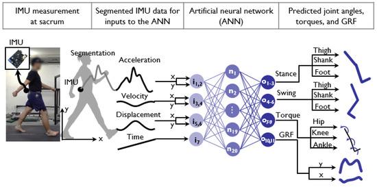 Prediction of Lower Limb Kinetics and Kinematics during Walking by a Single IMU on the Lower ...