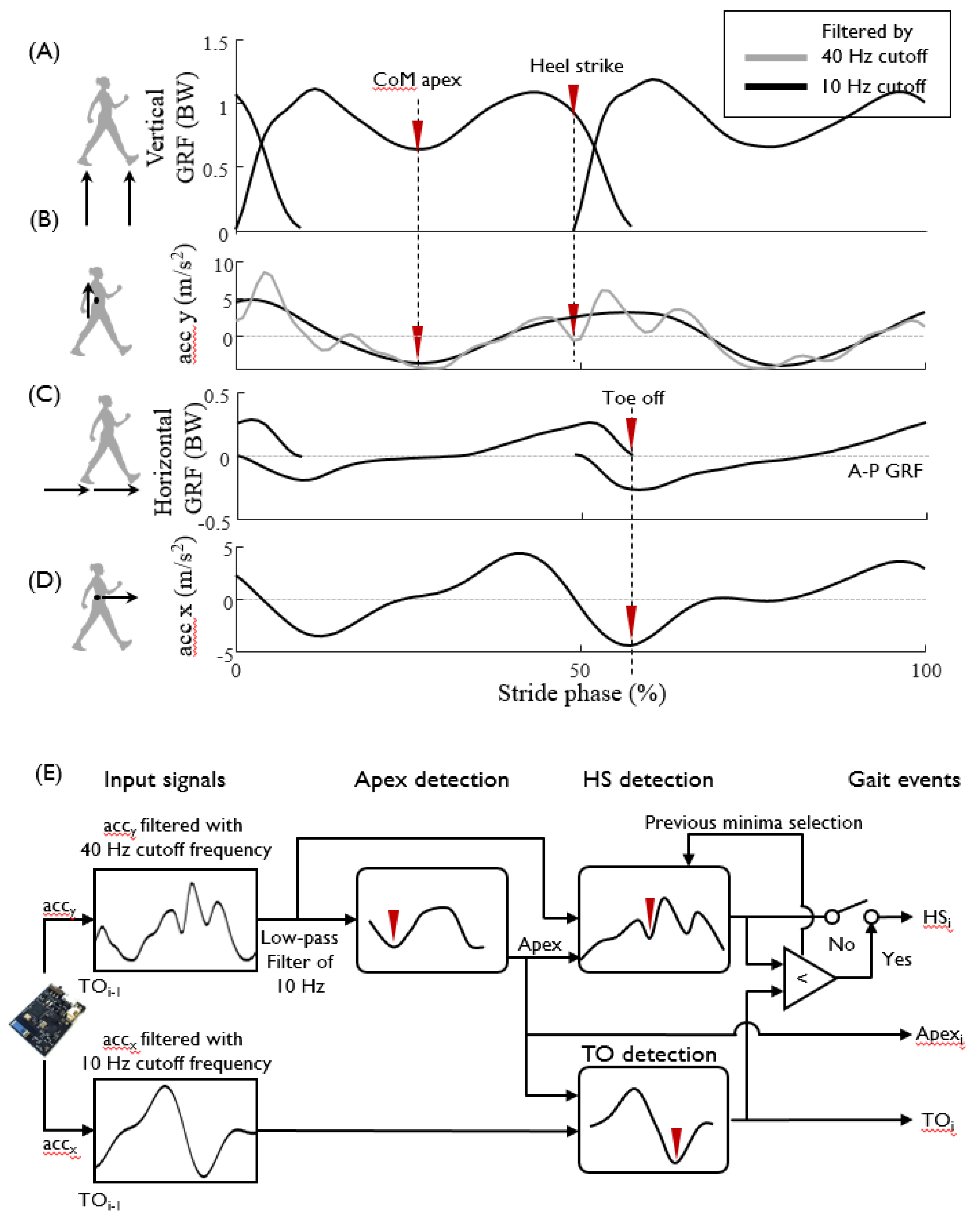 Prediction of Lower Limb Kinetics and Kinematics during Walking by a ...