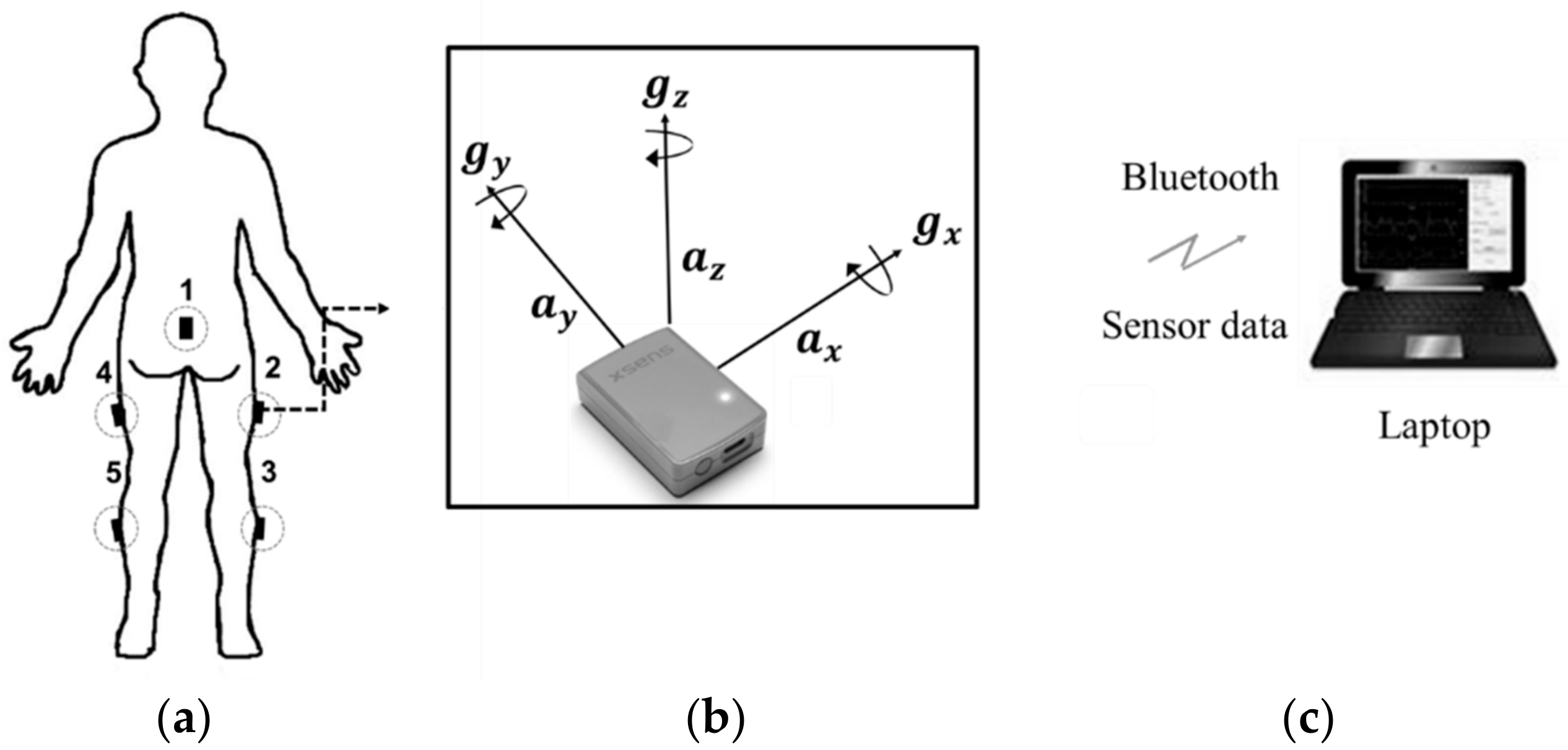 Sensors Free Full Text Automatic Classification Of Squat Posture