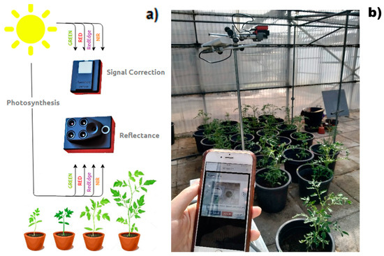 Monitoring Plant Status and Fertilization Strategy through ...
