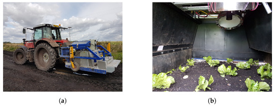 High Speed Crop and Weed Identification in Lettuce Fields for Precision ...