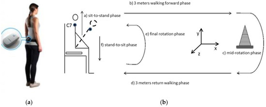 Functional Evaluation Using Inertial Measurement of Back School Therapy ...