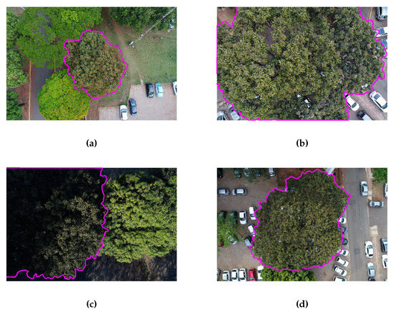 Sensors | Free Full-Text | Applying Fully Convolutional Architectures ...