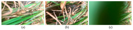 Sensors | Free Full-Text | A Recognition Method for Rice Plant Diseases ...