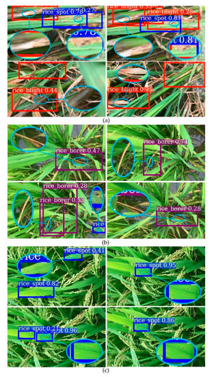 A Recognition Method for Rice Plant Diseases and Pests Video Detection ...