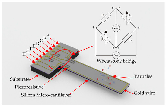 Sensors | Free Full-Text | Simulation-Based Design and Optimization of Rectangular Micro ...
