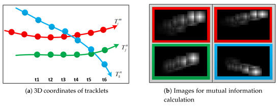 Sensors | Free Full-Text | Multiple Object Tracking for Dense Pedestrians by Markov Random Field ...