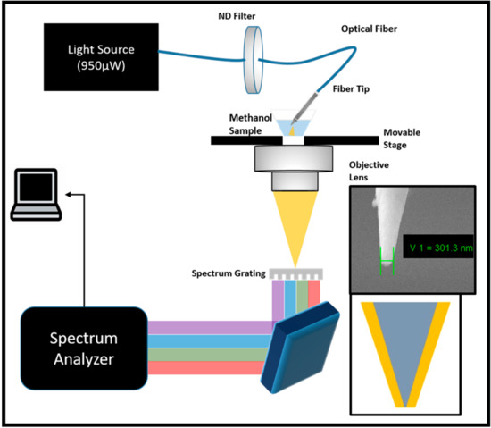 Sensors | Free Full-Text | Photothermal Effect in Plasmonic Nanotip for ...