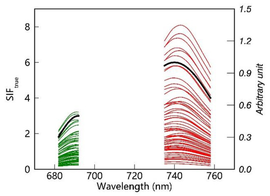 The Solar-Induced Chlorophyll Fluorescence Imaging Spectrometer (SIFIS ...