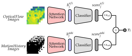 Two-Stream Attention Network for Pain Recognition from Video Sequences