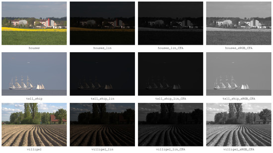 Sensors | Free Full-Text | Noise Removal in the Developing Process of ...