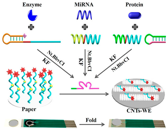 Electrochemical Paper-Based Biosensor Devices for Rapid Detection of ...