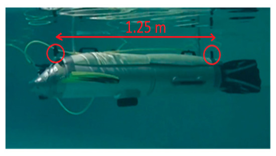 Hydroacoustic System in a Biomimetic Underwater Vehicle to Avoid ...
