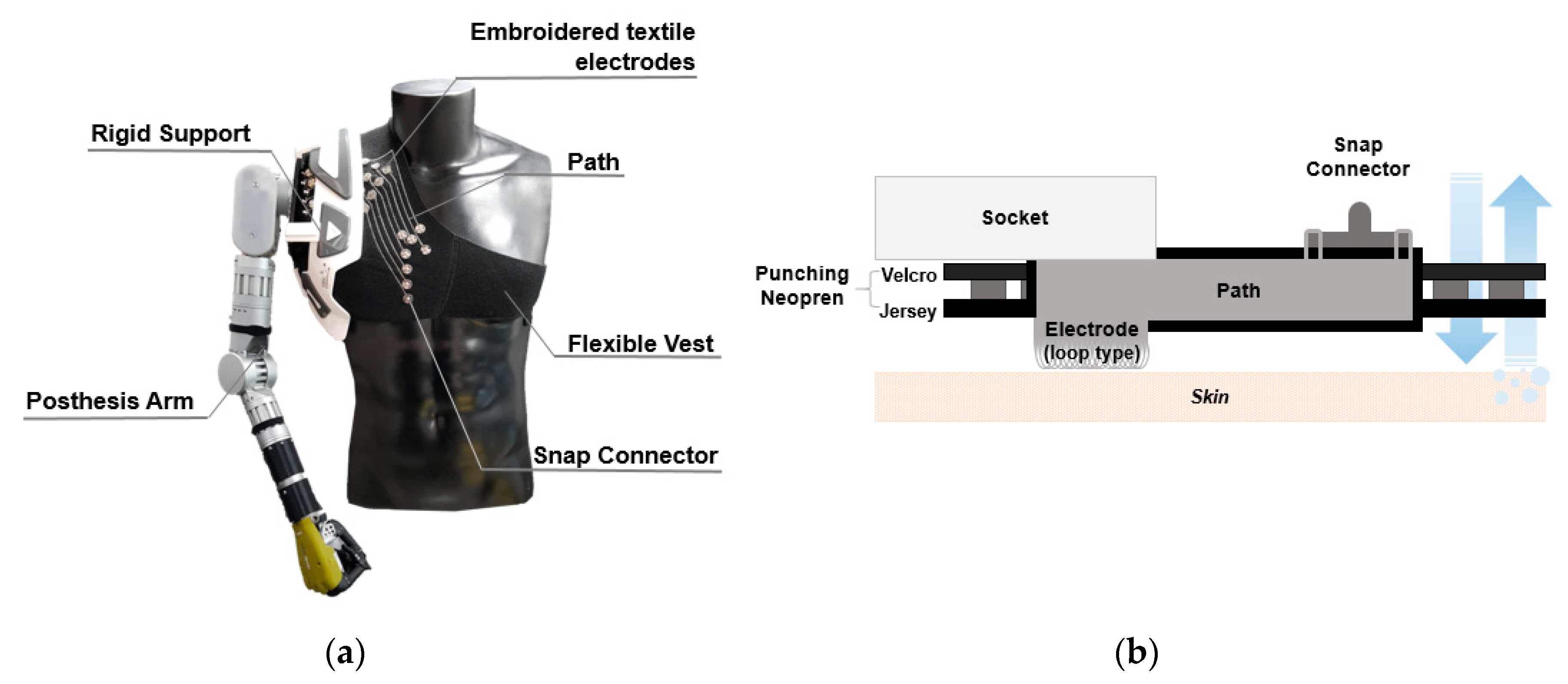 Fabric Vest Socket with Embroidered Electrodes for Control of ...
