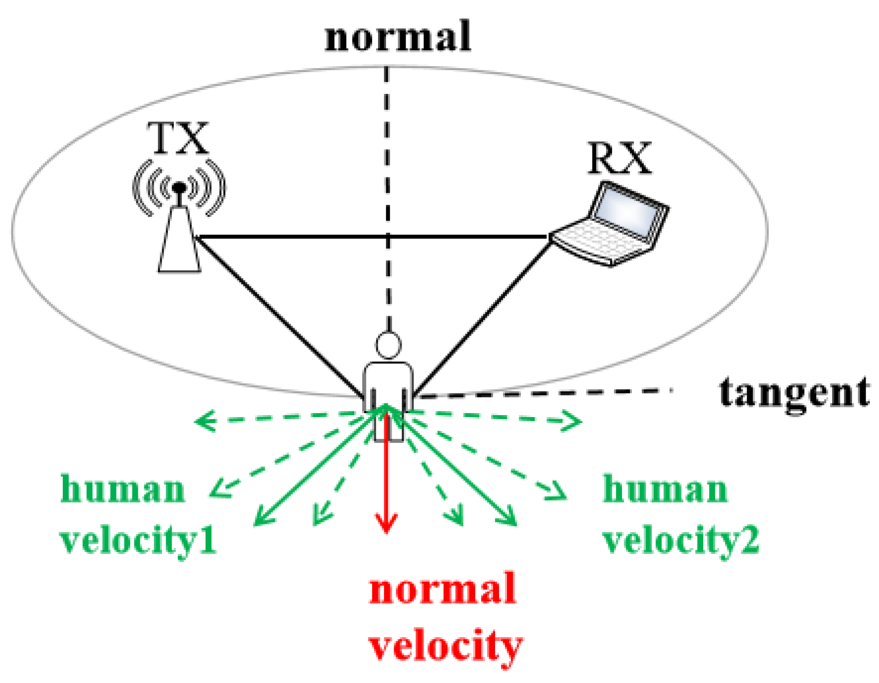 Human Activity Sensing with Wireless Signals: A Survey